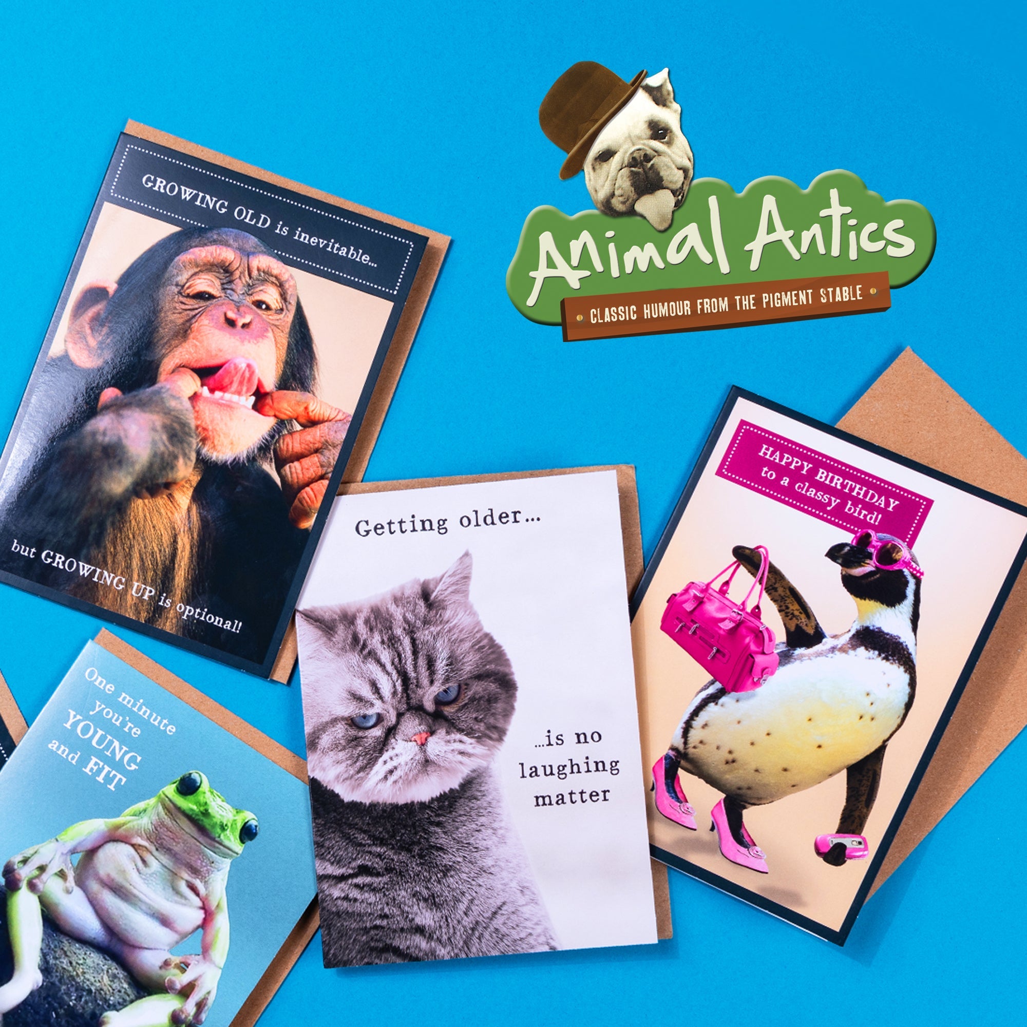 Animal Antics – Pigment Productions